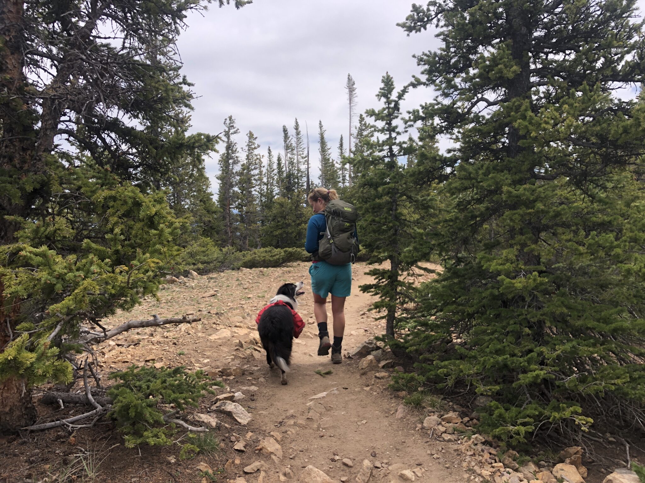 What’s It Like to Be a Conservation Detection Dog Handler? | K9 ...