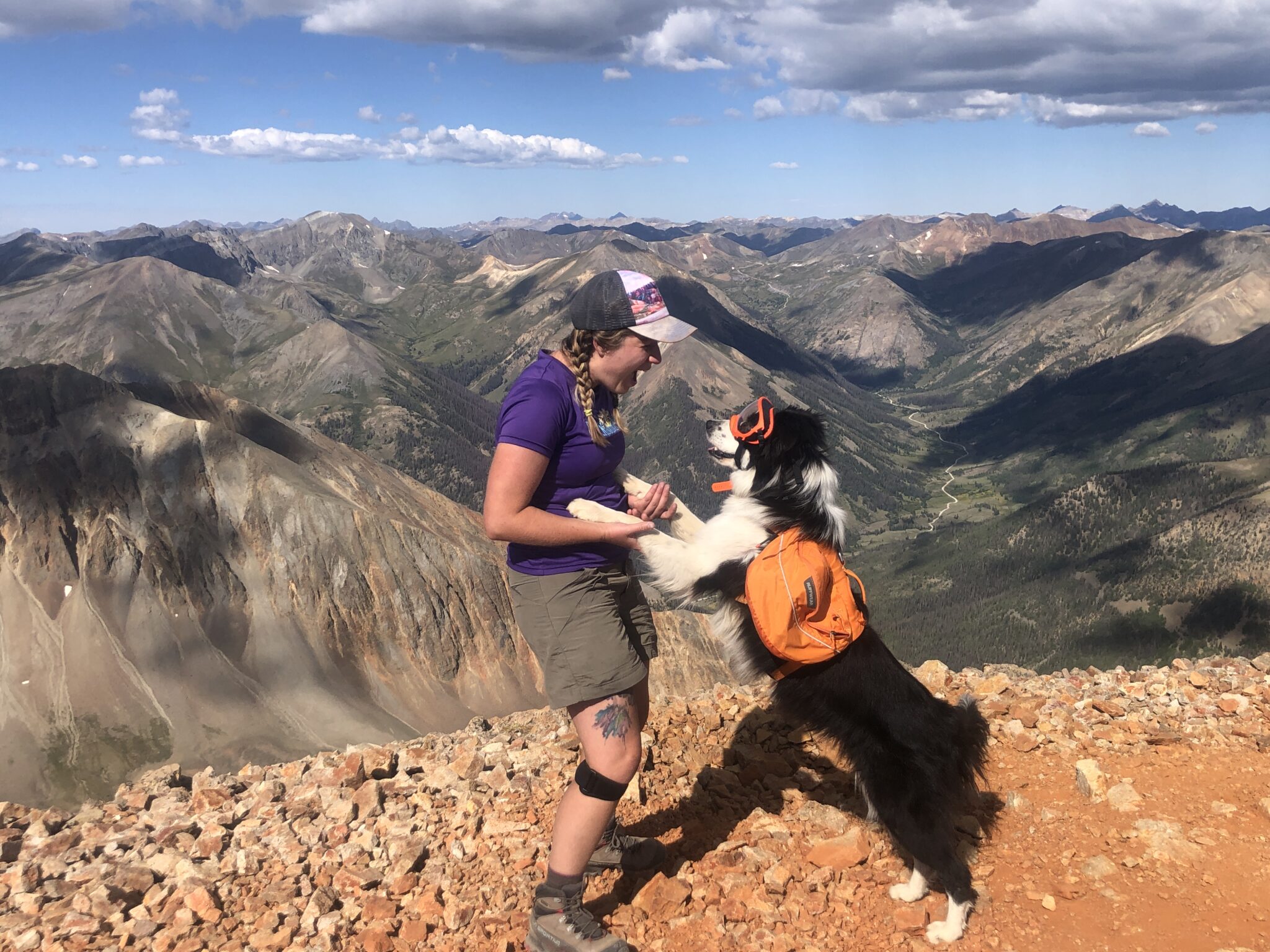 What’s It Like to Be a Conservation Detection Dog Handler? | K9 ...