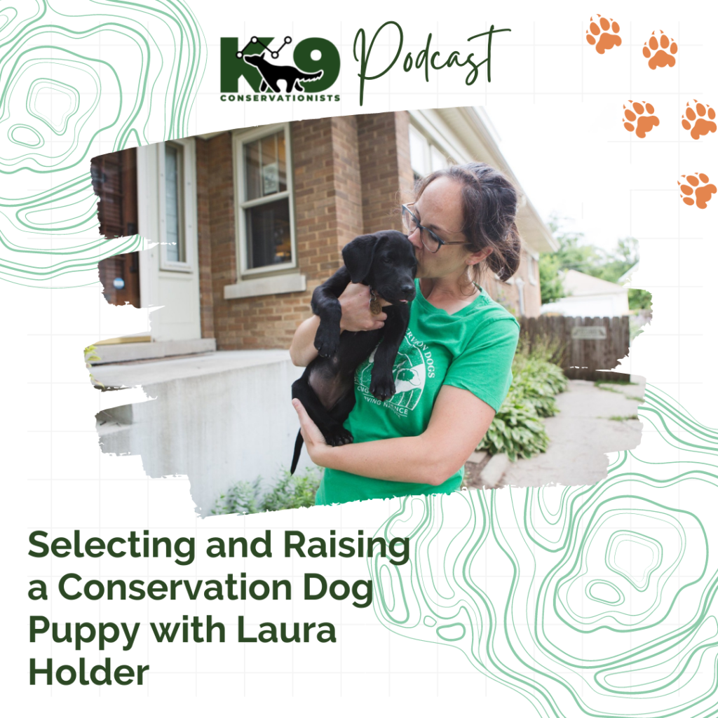 Selecting and Raising a Conservation Dog Puppy with Laura Holder | K9 ...