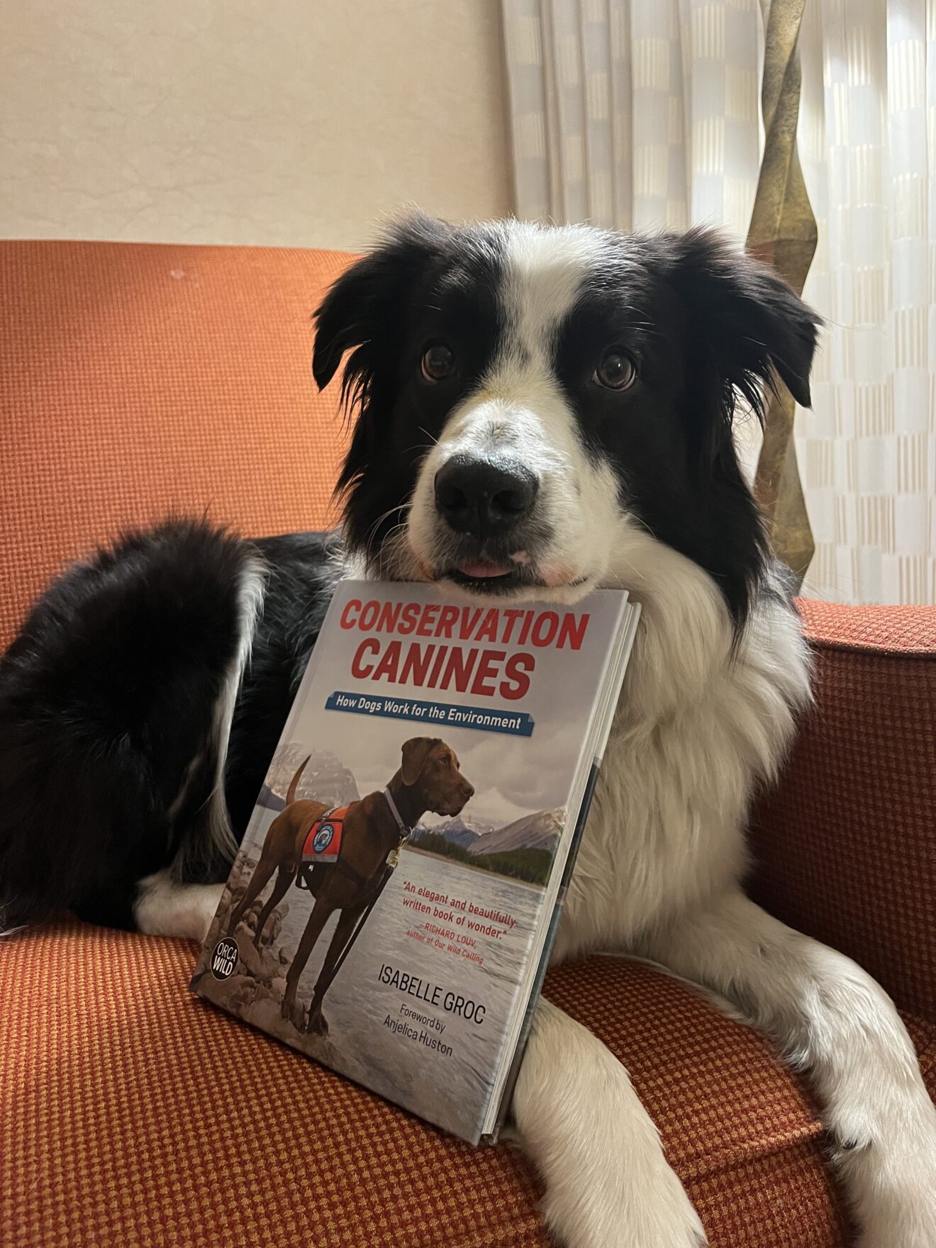 Books to Read for Conservation Detection Dog Handlers | K9 Conservationists